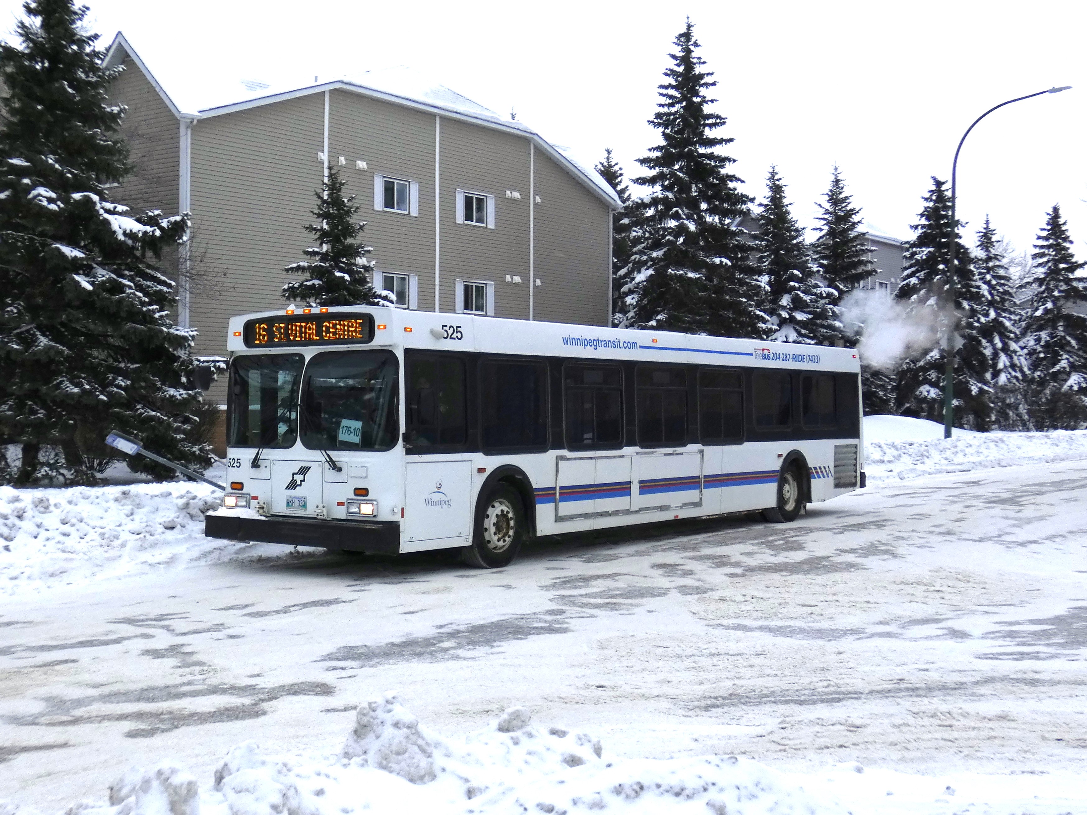 History of Bus 525 | WTLive